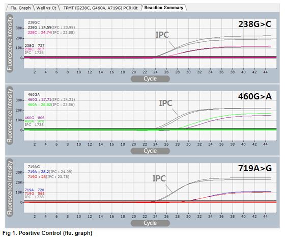 AccuPower® TPMT genotyping Real-Time PCR Kit