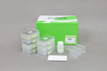 COVID-19_Nucleic Acid Extraction Kit_ExiPrep96Lite_bioneer