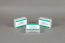 AccuTarget™ GAPDH Positive Control siRNA