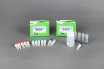 AccuRapid™ Protein Synthesis Kit (5 reactions)
