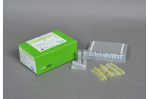 AccuPower® ApoE Real-Time PCR Kit