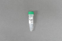 100 mM GTP (0.25 ml)