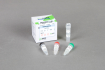 Pfu DNA Polymerase, 10X Reaction Buffer, with 10 mM dNTPs (250 units)