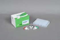 ExiProgen™ ProXpress PCR Template kit