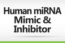 AccuTarget™ Human miRNA Mimic & Inhibitor