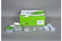 ExiPrep™ Dx Bacteria Genomic DNA Kit
