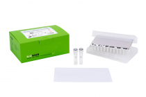 SYBR Green, SYBR Green I, SYBR Green qPCR, SYBR