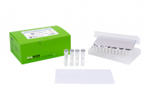 SYBR Green, SYBR Green I, SYBR Green qPCR, SYBR