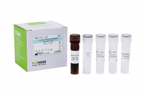AccuPower® Haemophilus influenzae Real-Time PCR Kit
