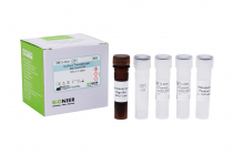 AccuPower® Helicobacter pylori Real-Time PCR Kit