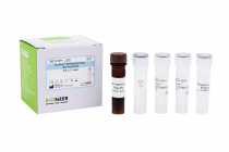 AccuPower® Neisseria gonorrhoeae Real-Time PCR Kit