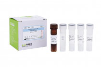 AccuPower® Vibrio fluvialis Real-time PCR Kit