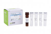 AccuPower® Citrobacter amalonaticus Real-time PCR Kit