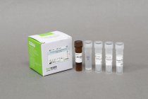 AccuPower® Almond Real-Time PCR kit