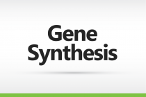 Bioneer provides a comprehensive gene synthesis service, encompassing ...