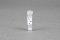 RNase A Powder for K-3030 (6 mg)