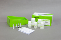MagListo™ cfDNA Extraction Kit