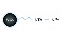 Ni-NTA Magnetic Beads