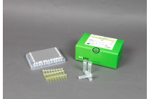AccuPower® TPMT genotyping Real-Time PCR Kit