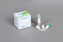 Mmlv Genome | semashow.com