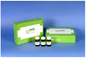 AccuPower® Campylobacter upsaliensis Real-Time PCR Kit